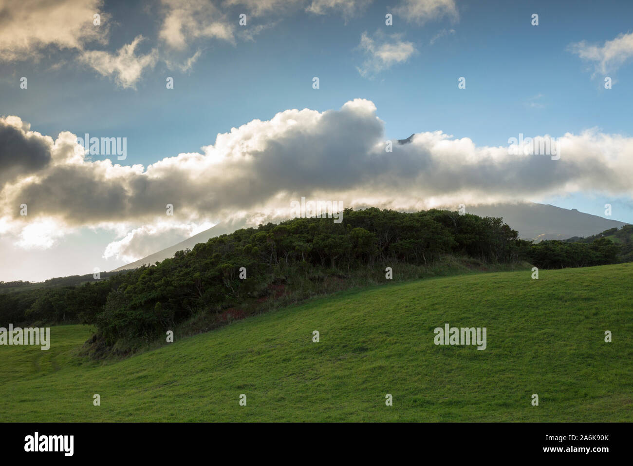 Cloud forest and Pico mountain. Pico, Azores, Portugal Stock Photo - Alamy