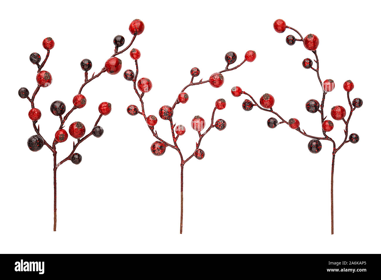 Decorative branches hi-res stock photography and images - Alamy