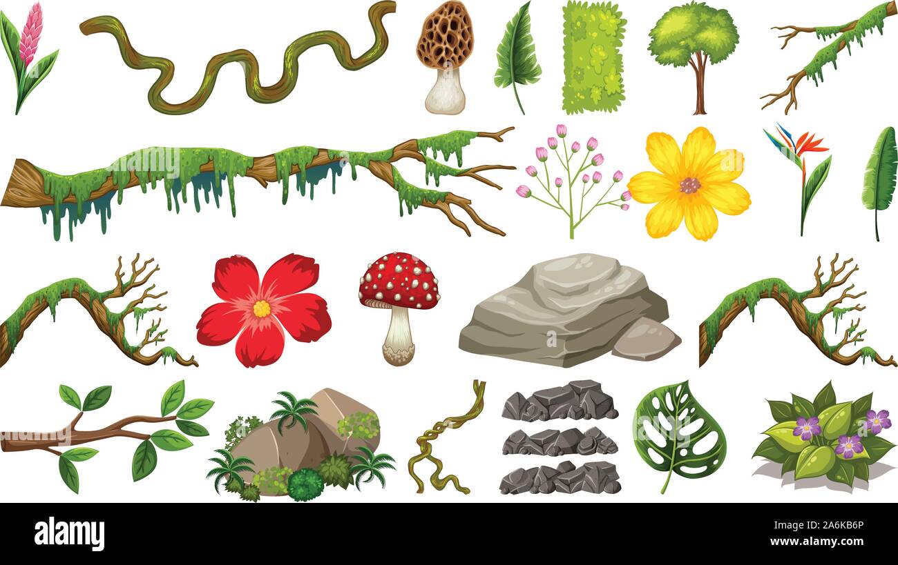 Set of rocks and branches illustration Stock Vector Image & Art - Alamy