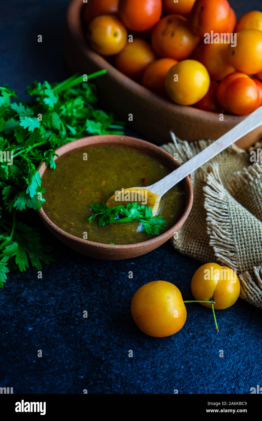 Traditional georgian tkemali sauce with fresh tkemali fruits and ...