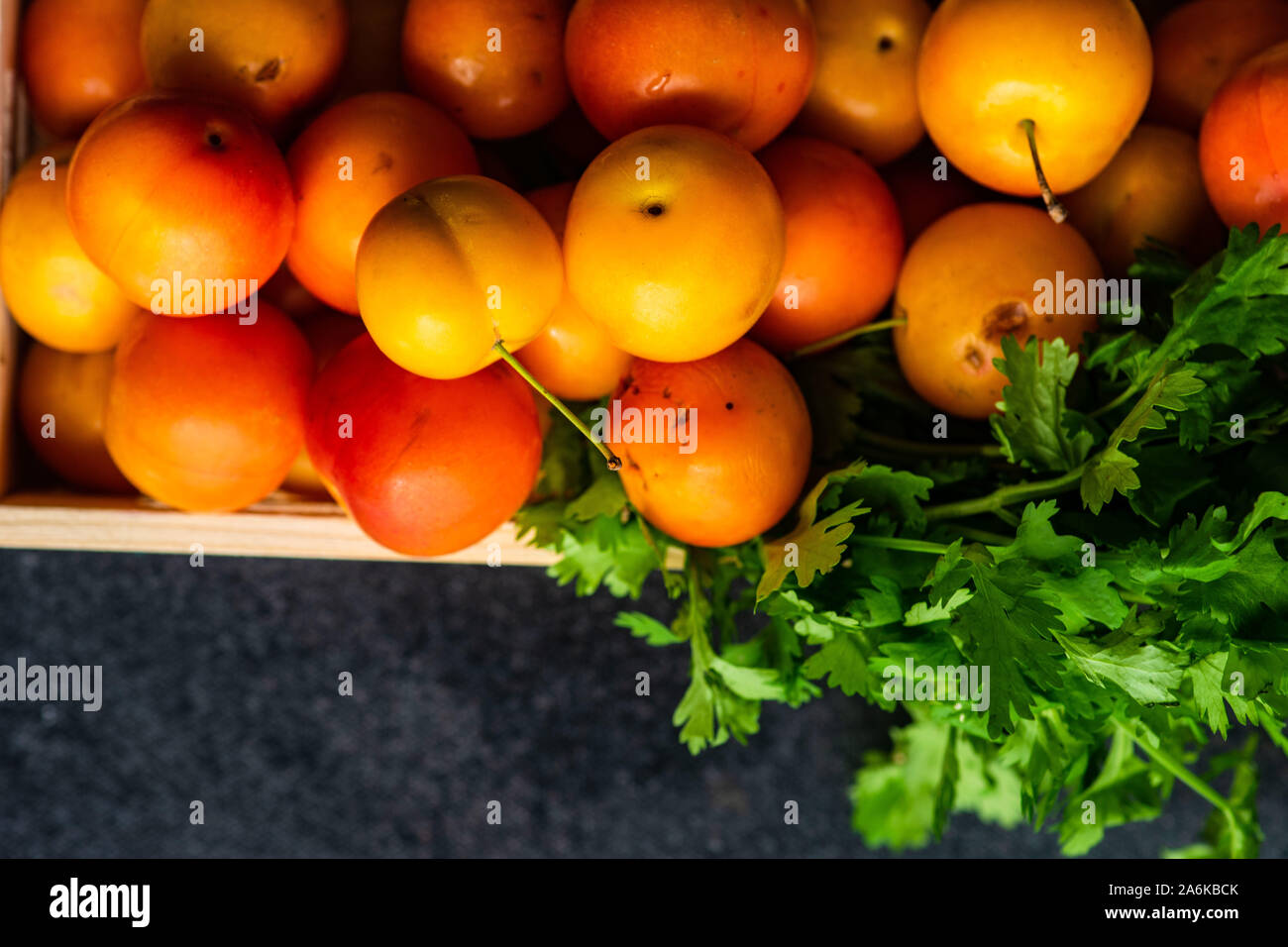 Traditional georgian tkemali sauce with fresh tkemali fruits and ...
