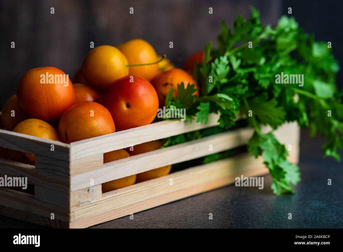 Traditional georgian tkemali sauce with fresh tkemali fruits and ...