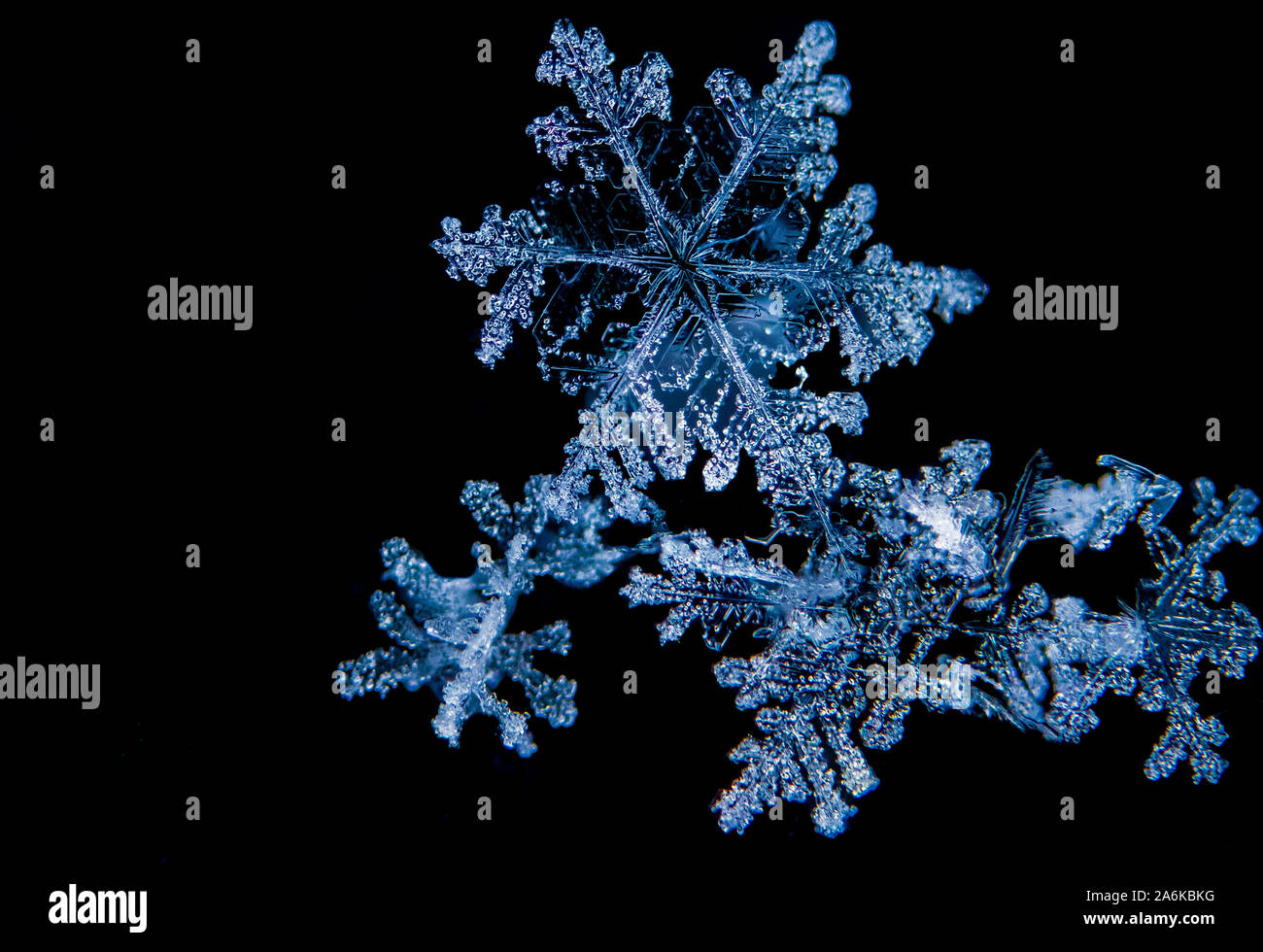 Snowflake shapes hi-res stock photography and images - Alamy