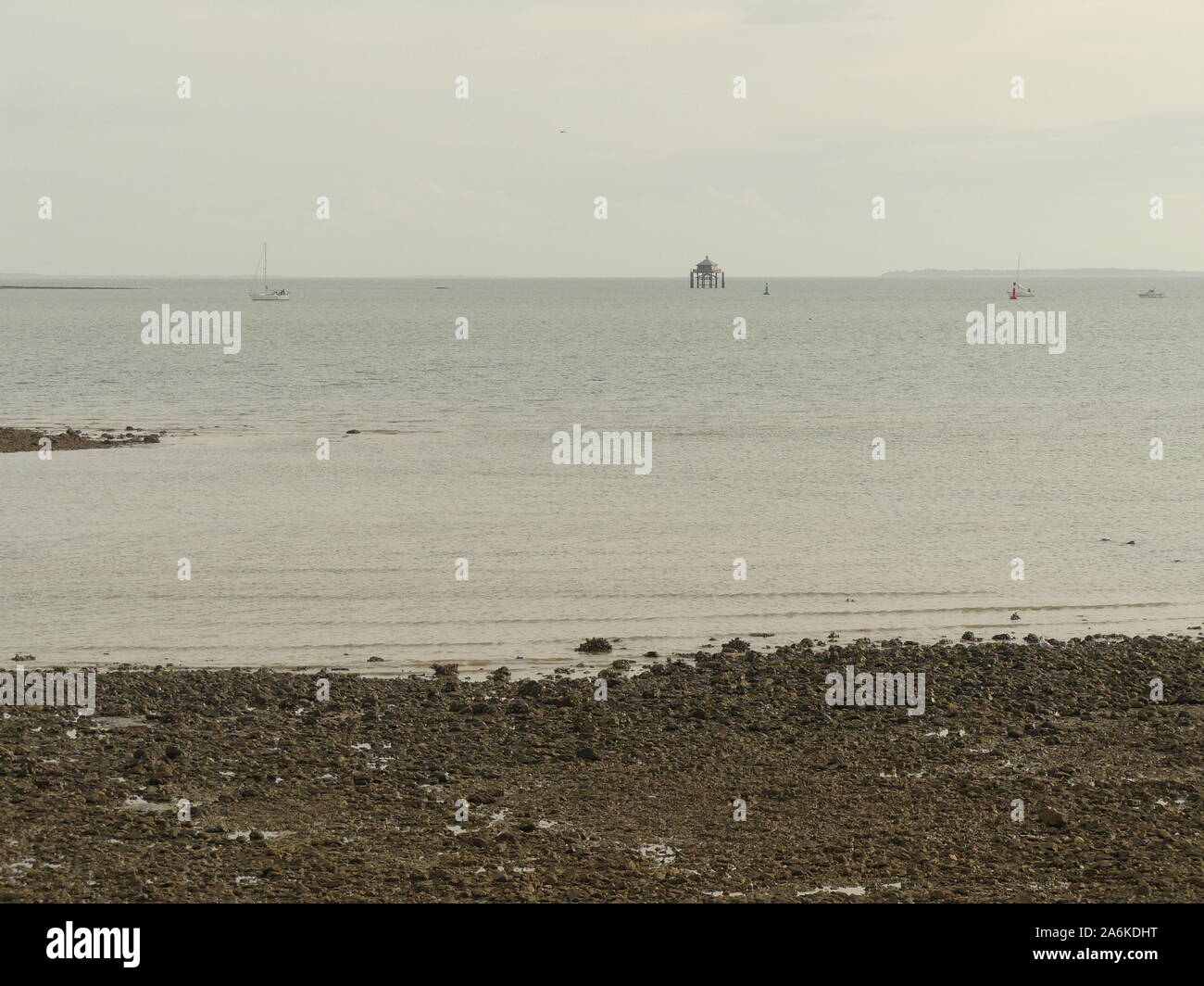 Visit of La Rochelle Sea Bus, Place of the Chain, Port Neuf, Nautical ...