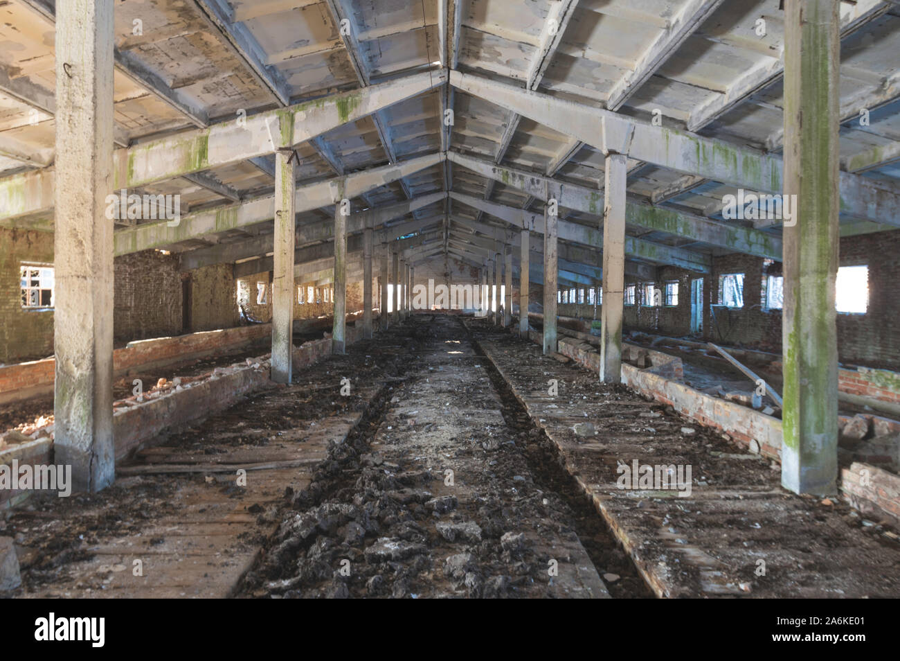 Large hangar with columns. Concrete columns and ceiling Stock Photo - Alamy