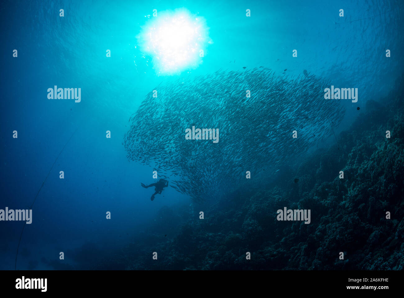 Reefscapes of the Red Sea Stock Photo - Alamy