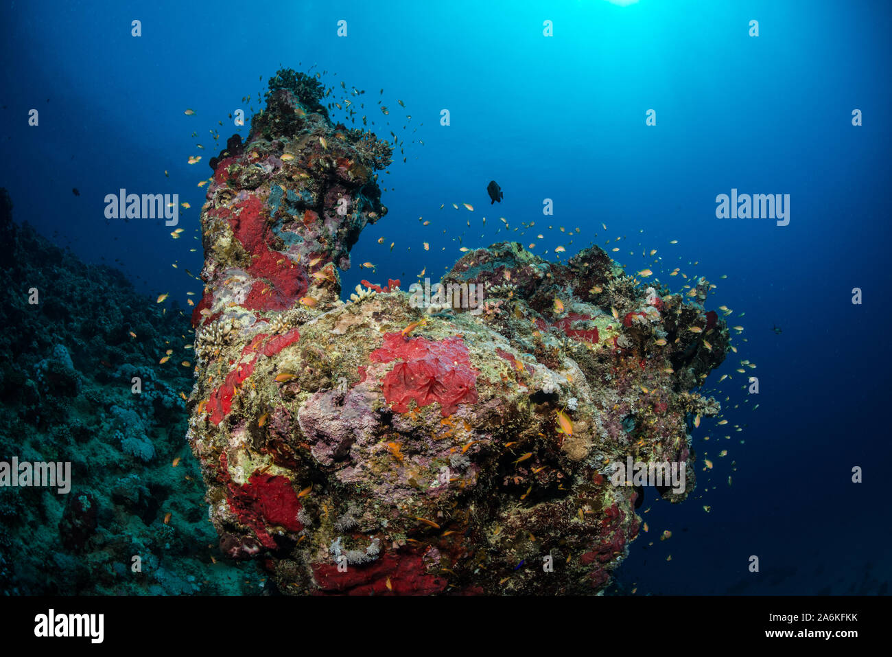 Reefscapes of the Red Sea Stock Photo - Alamy