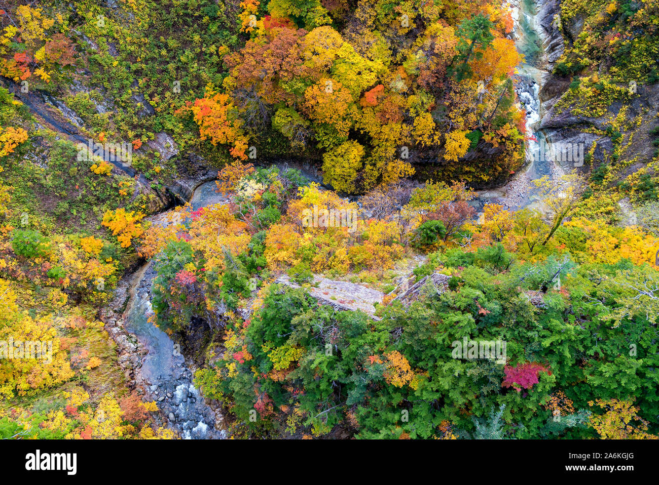 Aerial view of Autumn Fall Landscape of Forest and woods with river ...