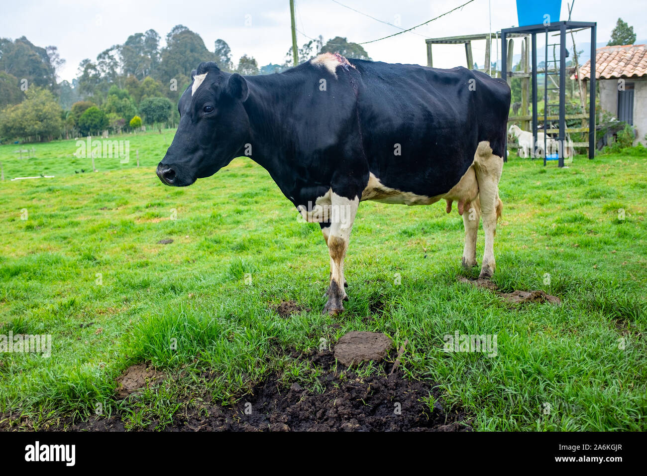 Puddle Production High Resolution Stock Photography and Images - Alamy