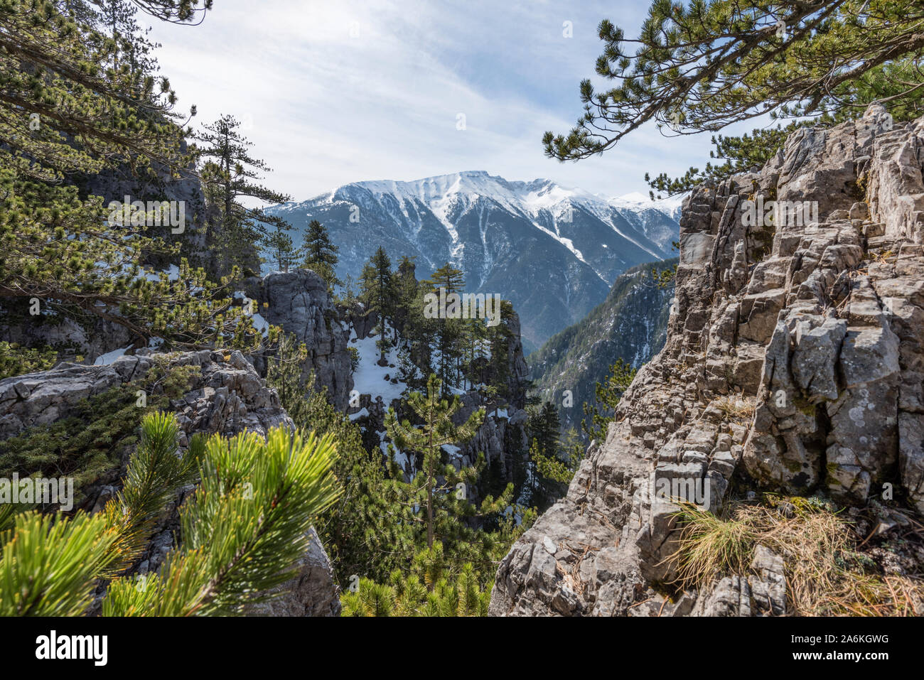 Pine slopes hi-res stock photography and images - Alamy