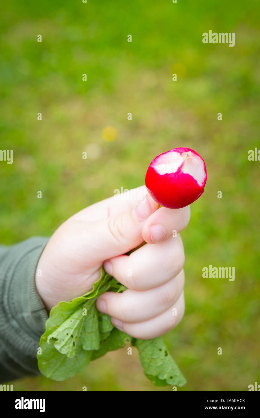 Child bite finger hi-res stock photography and images - Alamy