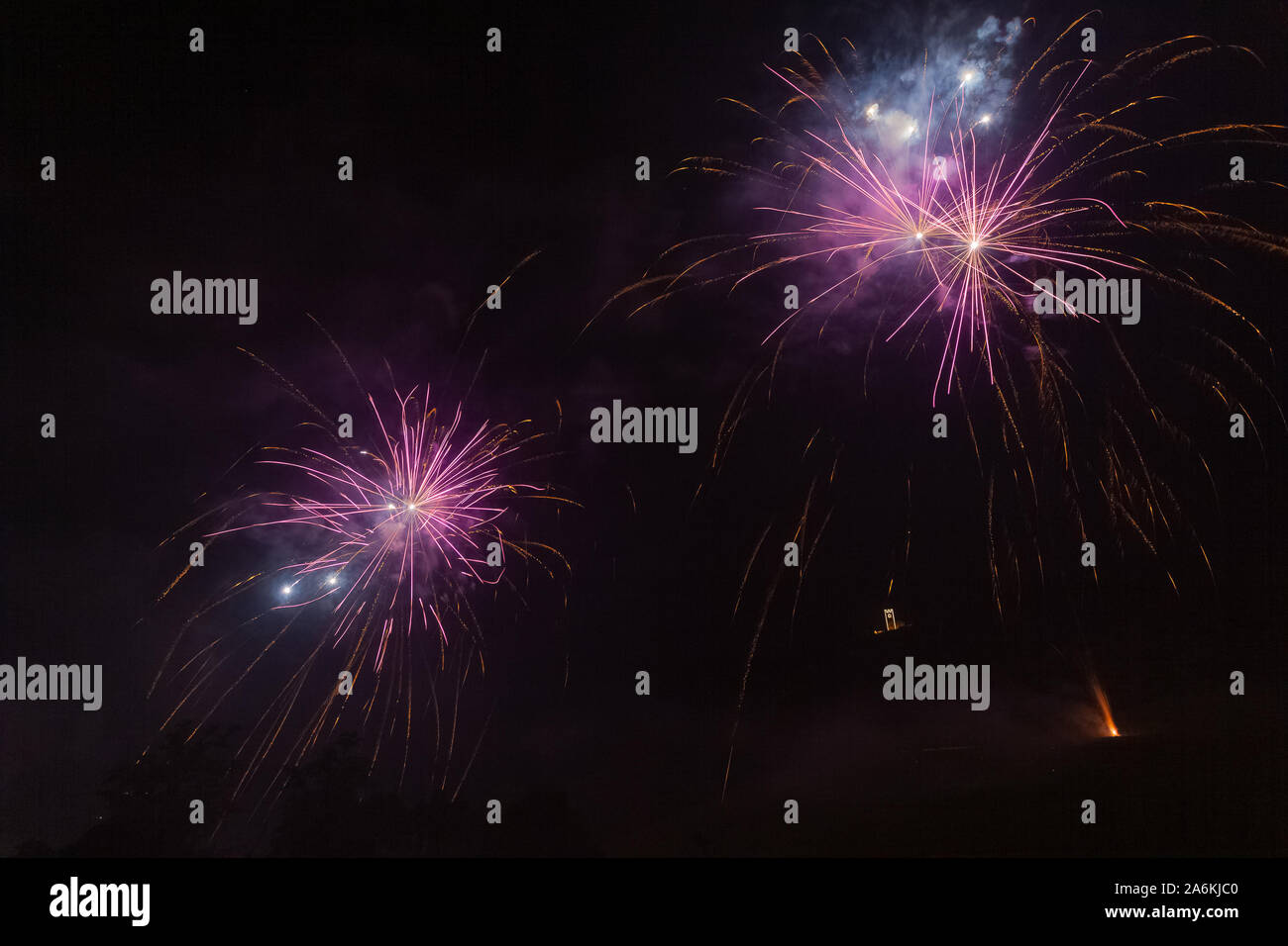 Beautiful couple of purple fireworks over trees silhouette Stock Photo ...