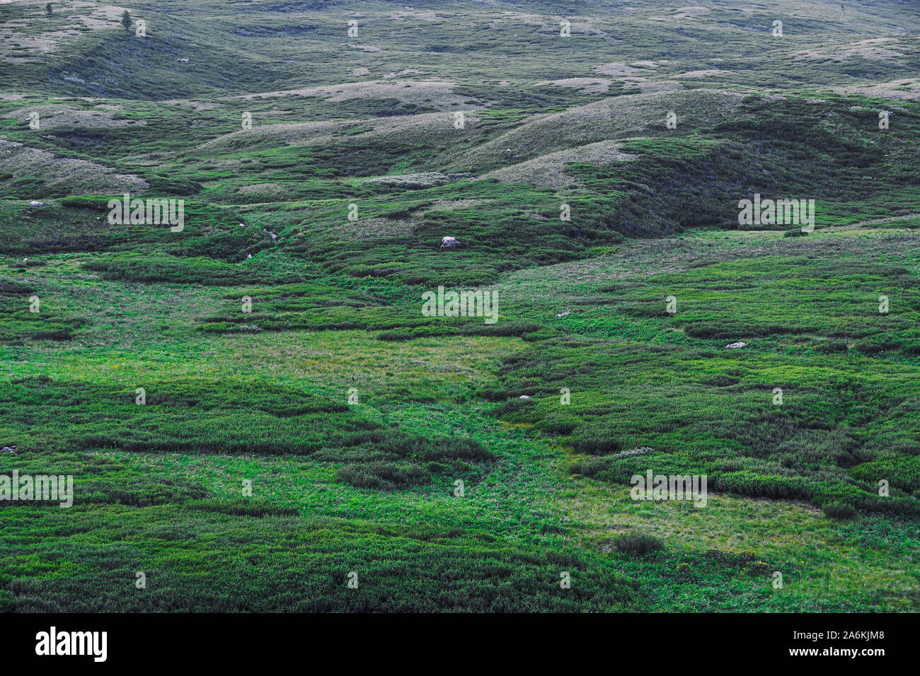 Smooth hills hi-res stock photography and images - Alamy