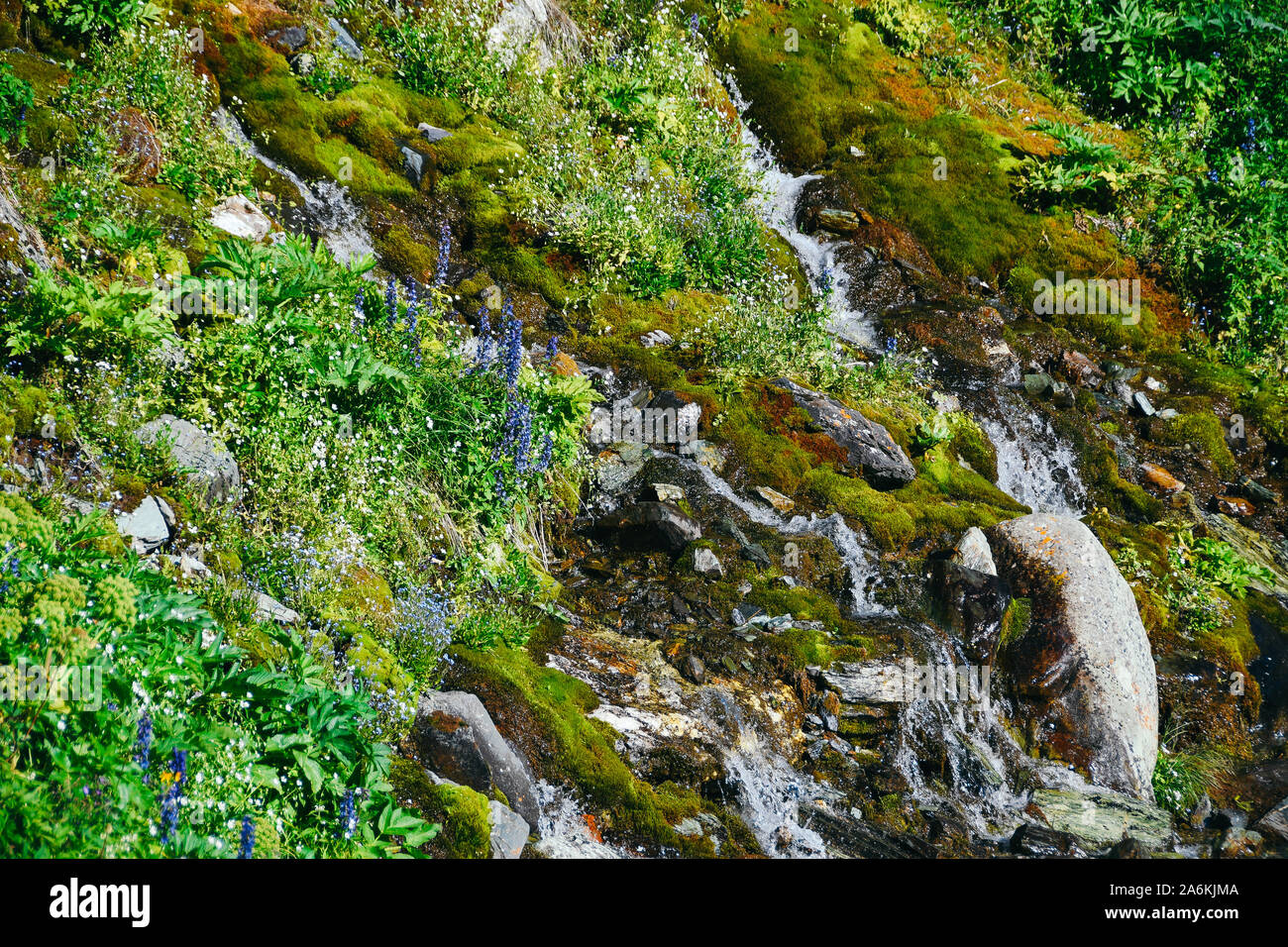 Thin mountain hi-res stock photography and images - Alamy