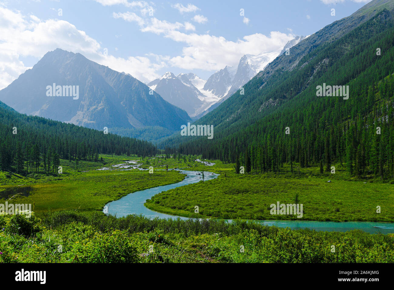 Green ribbon on the river hi-res stock photography and images - Alamy