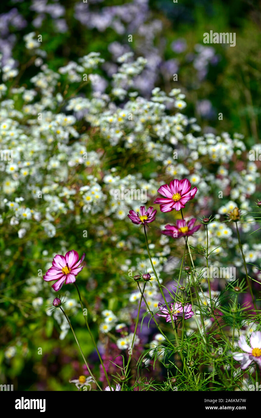 Candy display hi-res stock photography and images - Alamy