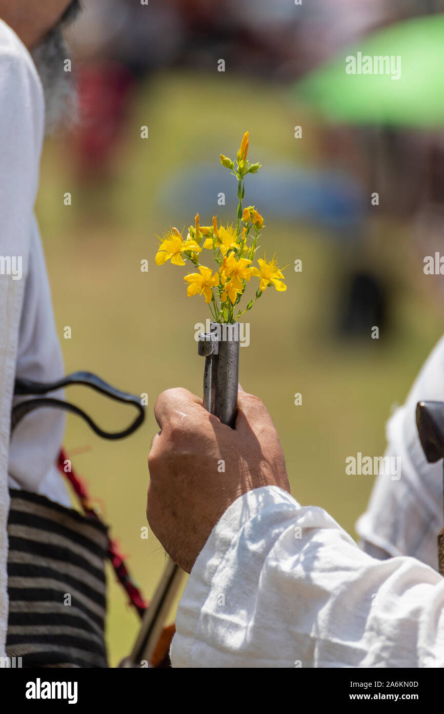 Rifle with a flower in the barrel. Peace not war concept Stock Photo ...
