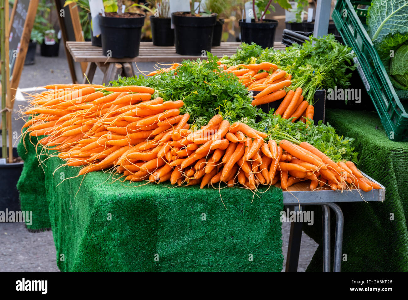 Fresh carrots on a market stall, Marlborough, England UK Stock Photo ...