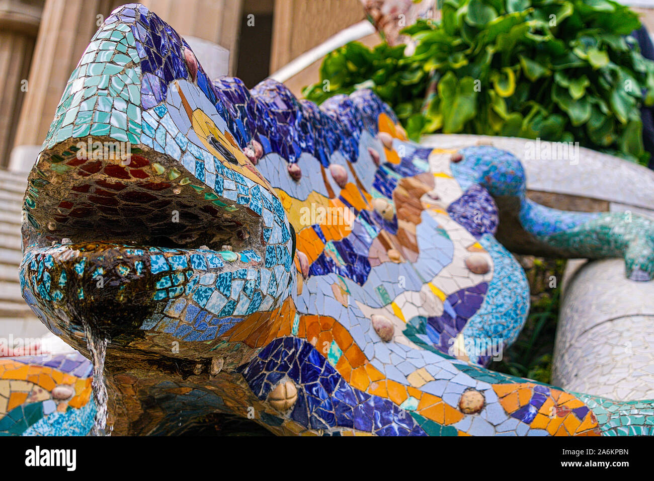 Gaudis lizard hi-res stock photography and images - Alamy