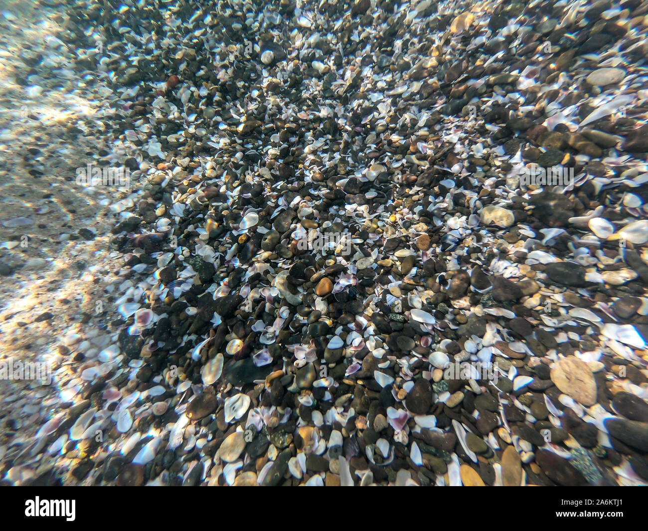 Under water view of colorful seashells and pebbles in the sea Stock ...