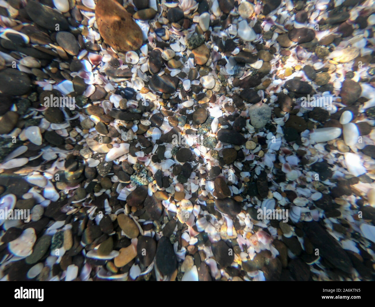 Under water view of colorful seashells and pebbles in the sea Stock ...