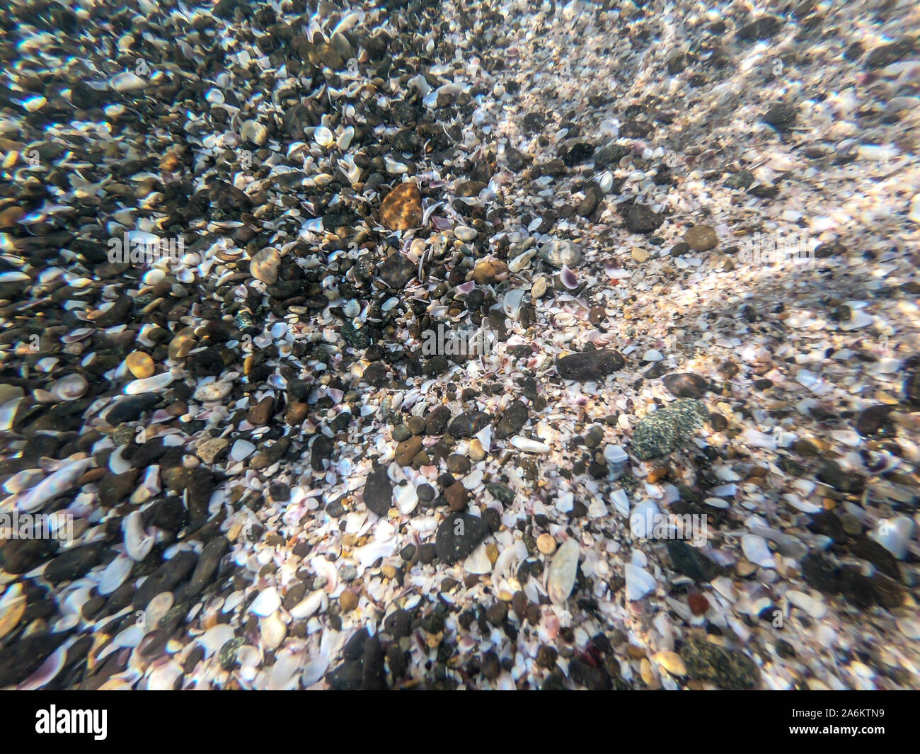 Under water view of colorful seashells and pebbles in the sea Stock ...