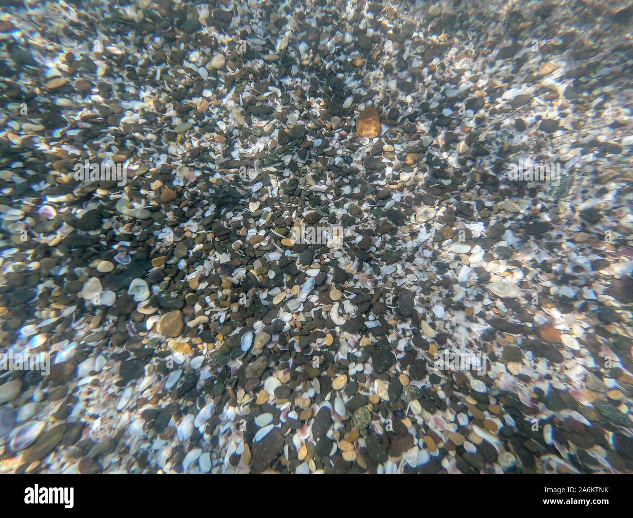 Under water view of colorful seashells and pebbles in the sea Stock ...