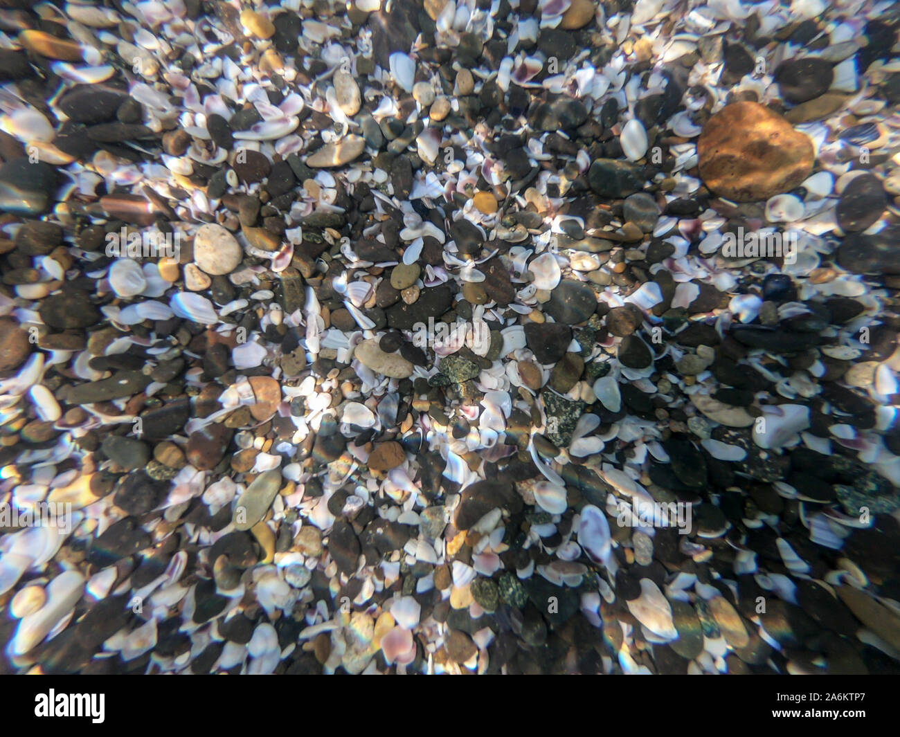 Under water view of colorful seashells and pebbles in the sea Stock ...