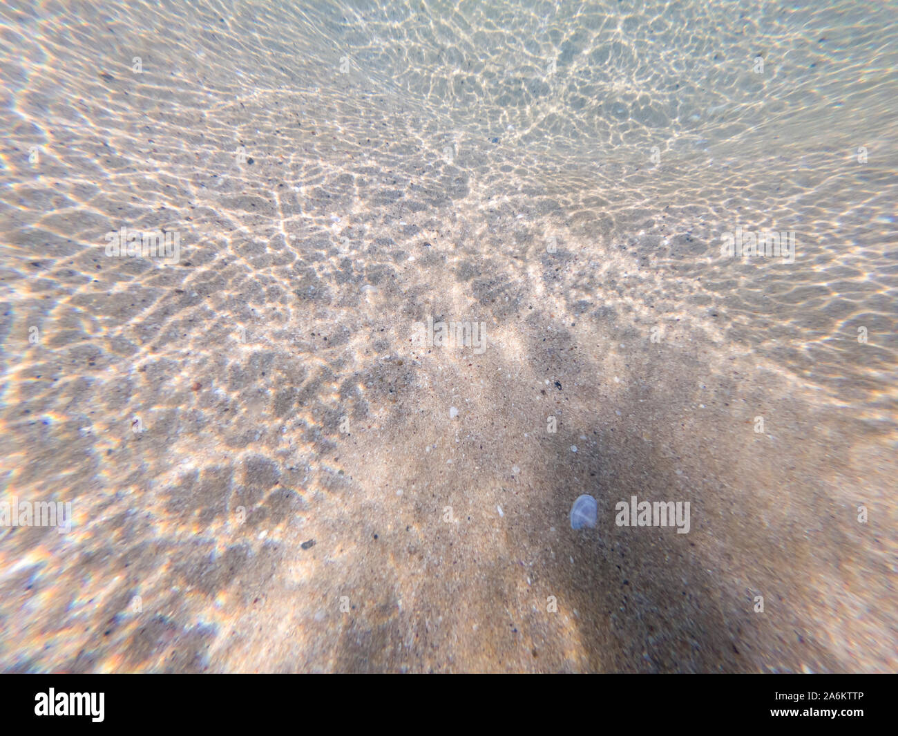 Under water view of sandy sea floor with flowing sand Stock Photo - Alamy