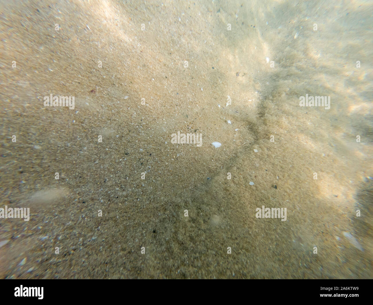 Under water view of sandy sea floor with flowing sand Stock Photo - Alamy