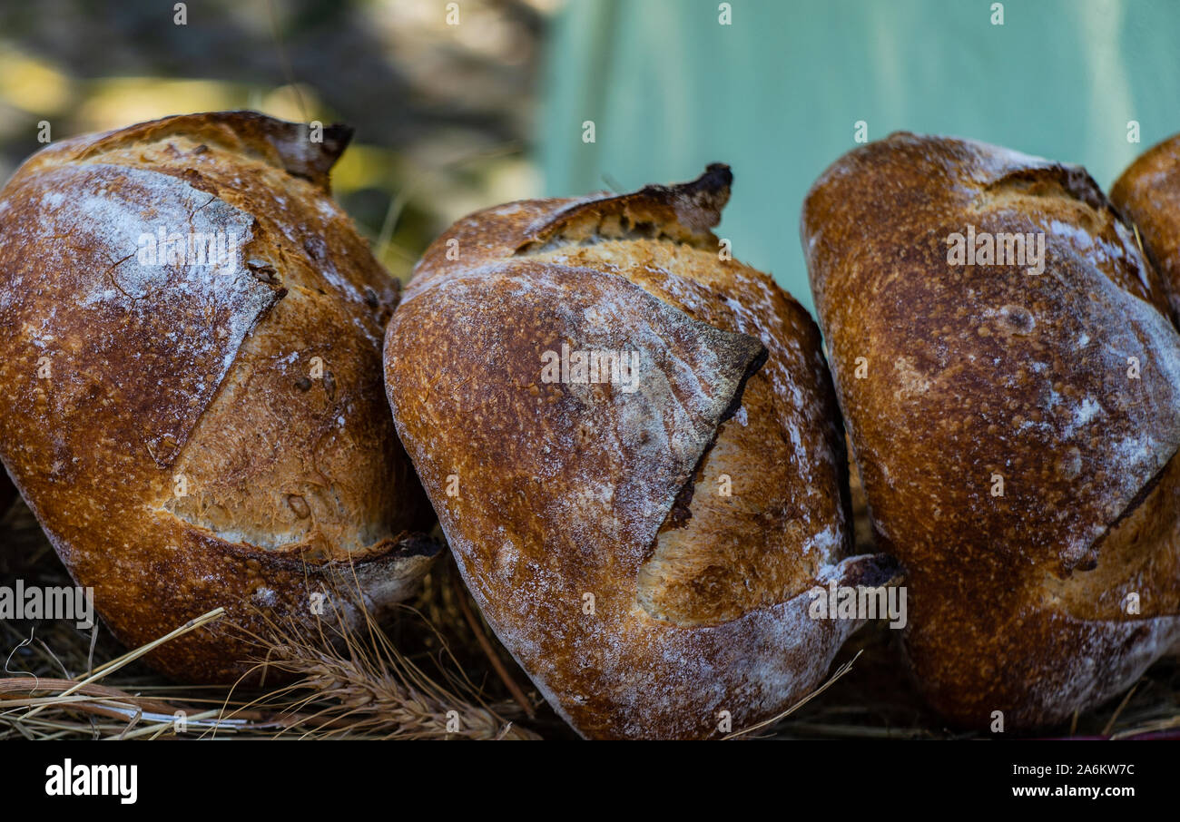 Bakery concept with gold rustic crusty loaves of bread and buns Stock ...