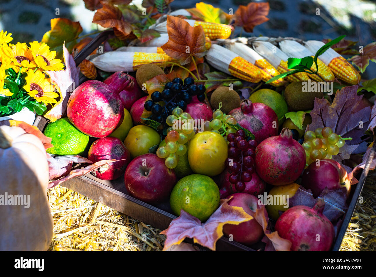 Variety of autumnal fruits in composition outdoor Stock Photo - Alamy