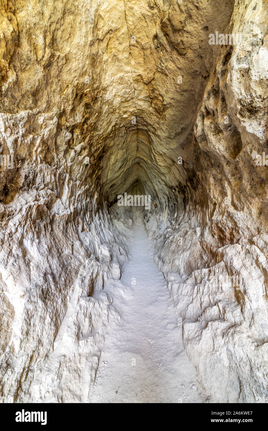 Utroba hi-res stock photography and images - Alamy