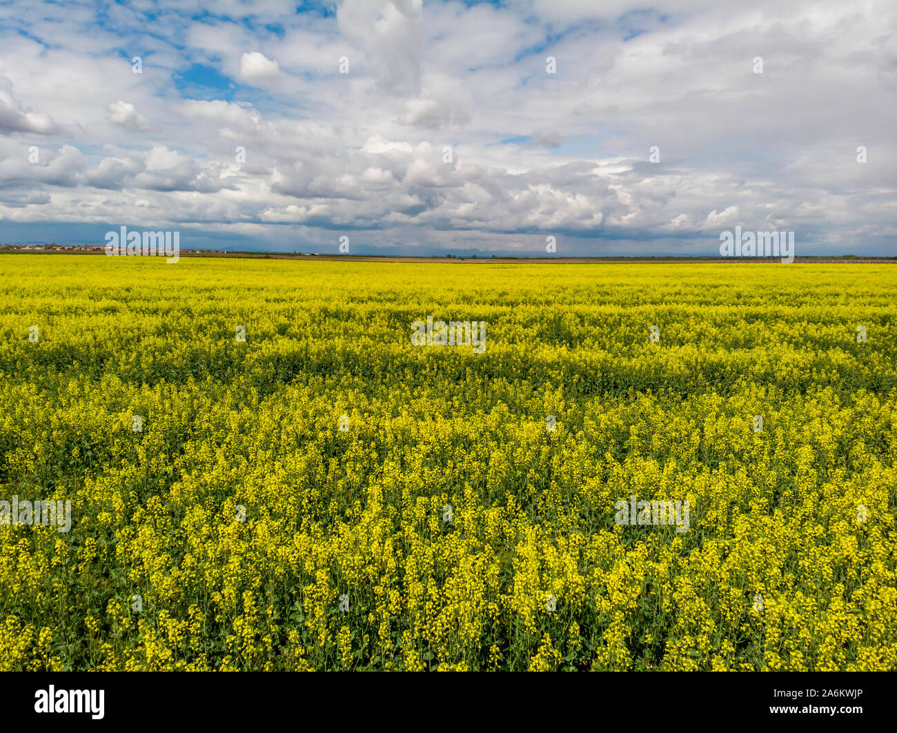 Oil field road signs hi-res stock photography and images - Alamy