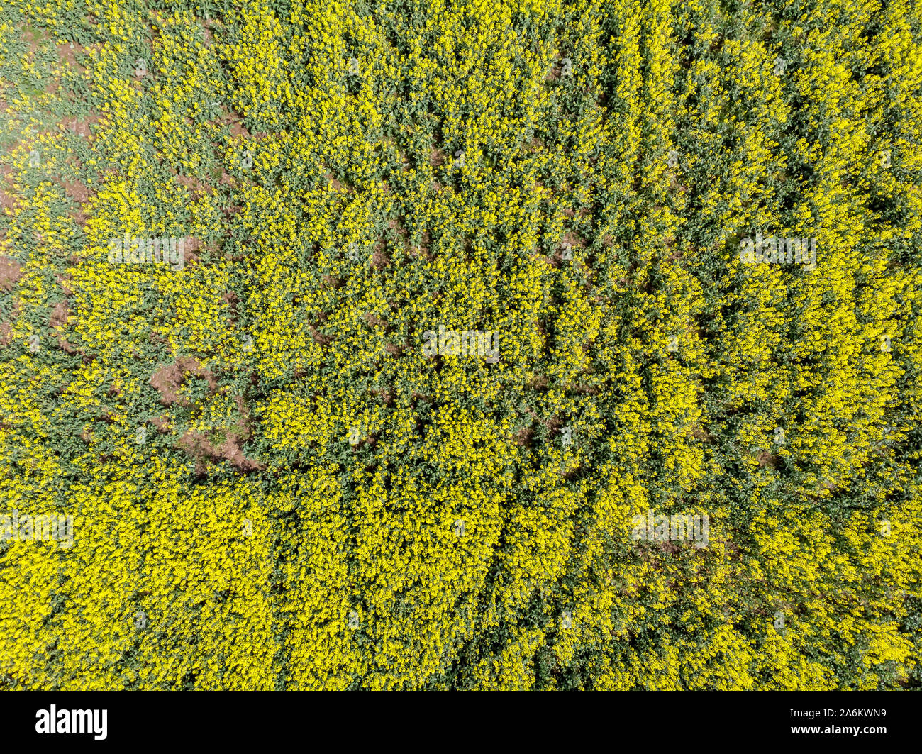Oil field road signs hi-res stock photography and images - Alamy