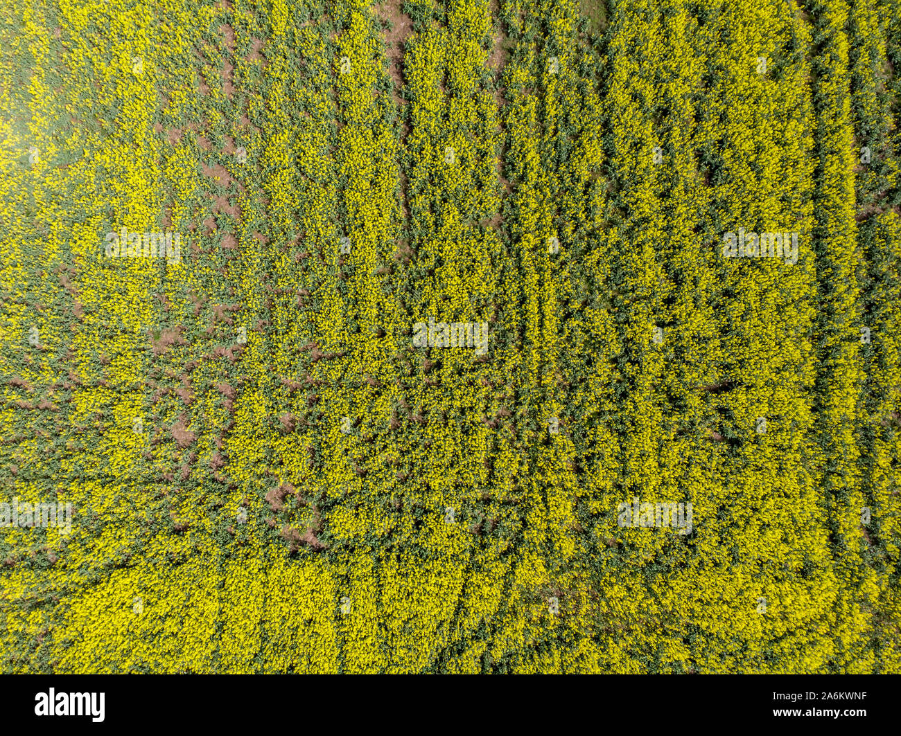 Oil field road signs hi-res stock photography and images - Alamy