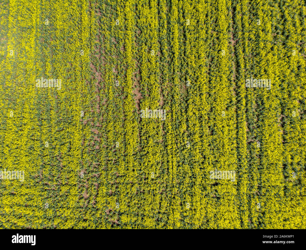 Oil field road signs hi-res stock photography and images - Alamy