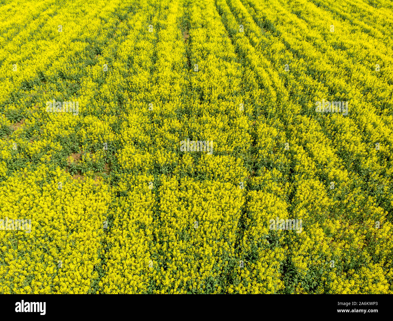 Oil field road signs hi-res stock photography and images - Alamy