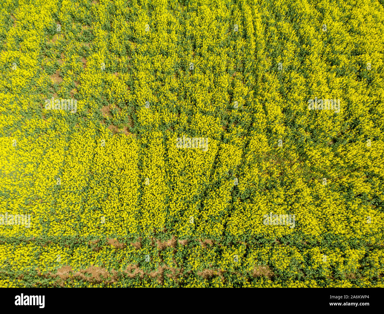Oil field road signs hi-res stock photography and images - Alamy