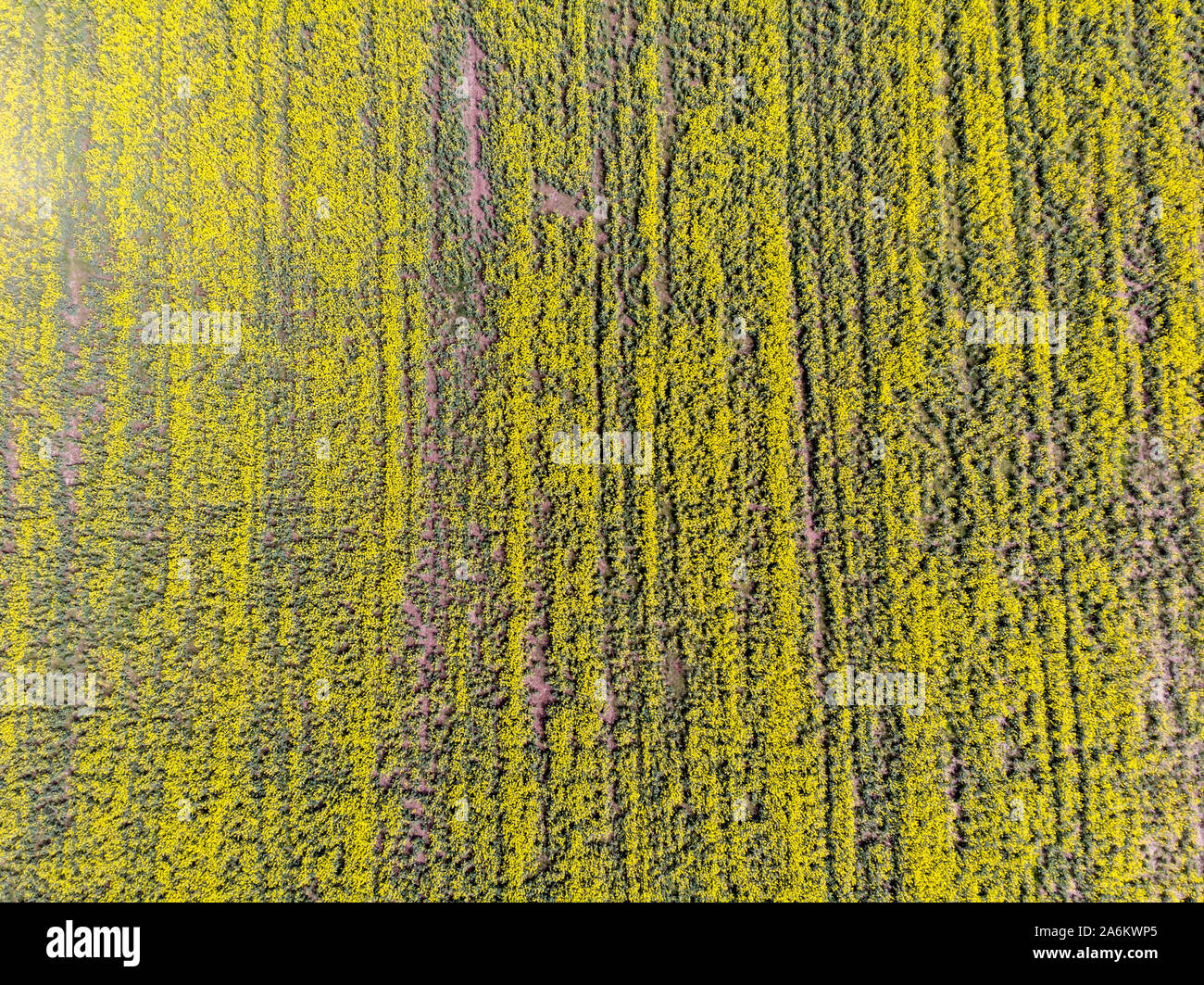 Oil field road signs hi-res stock photography and images - Alamy