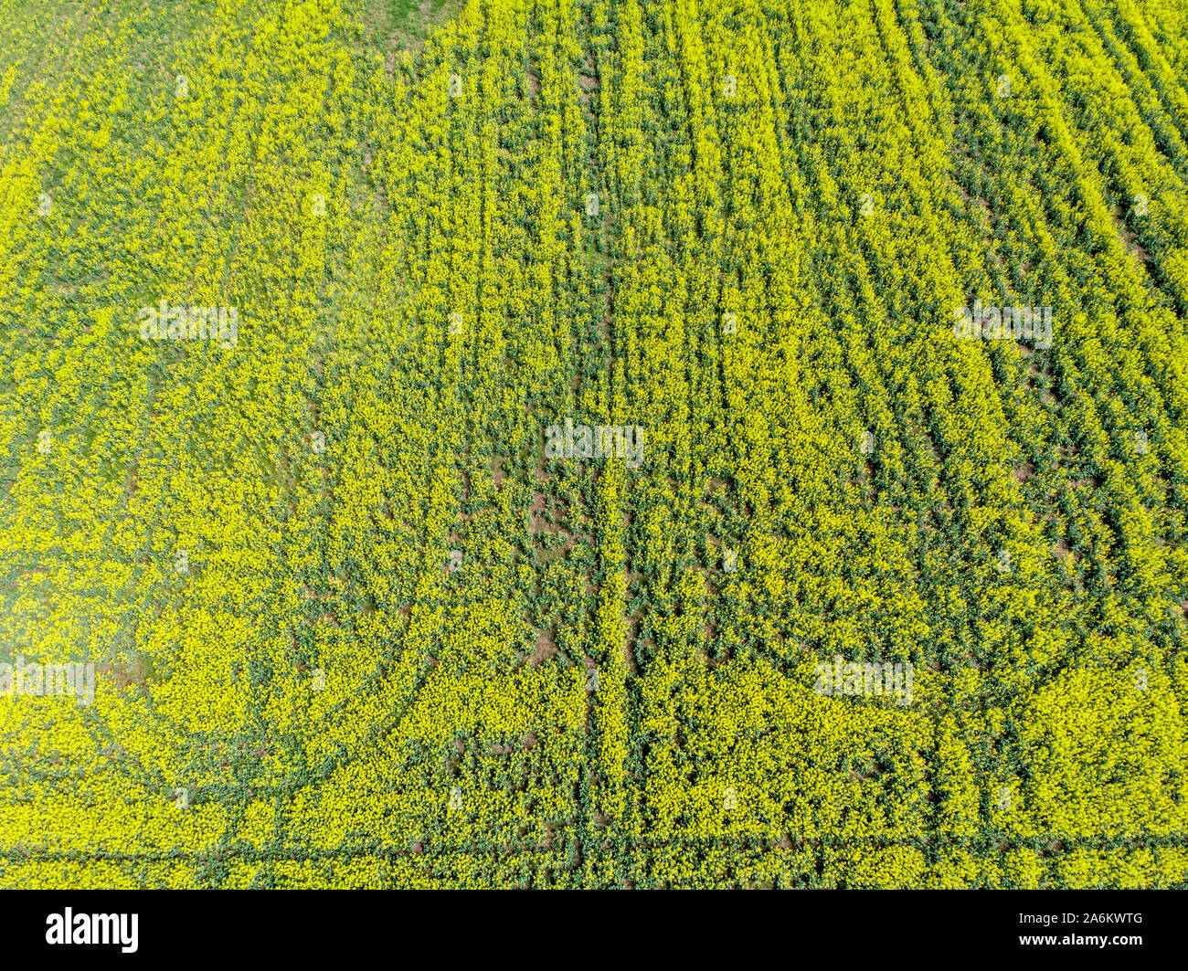 Oil field road signs hi-res stock photography and images - Alamy