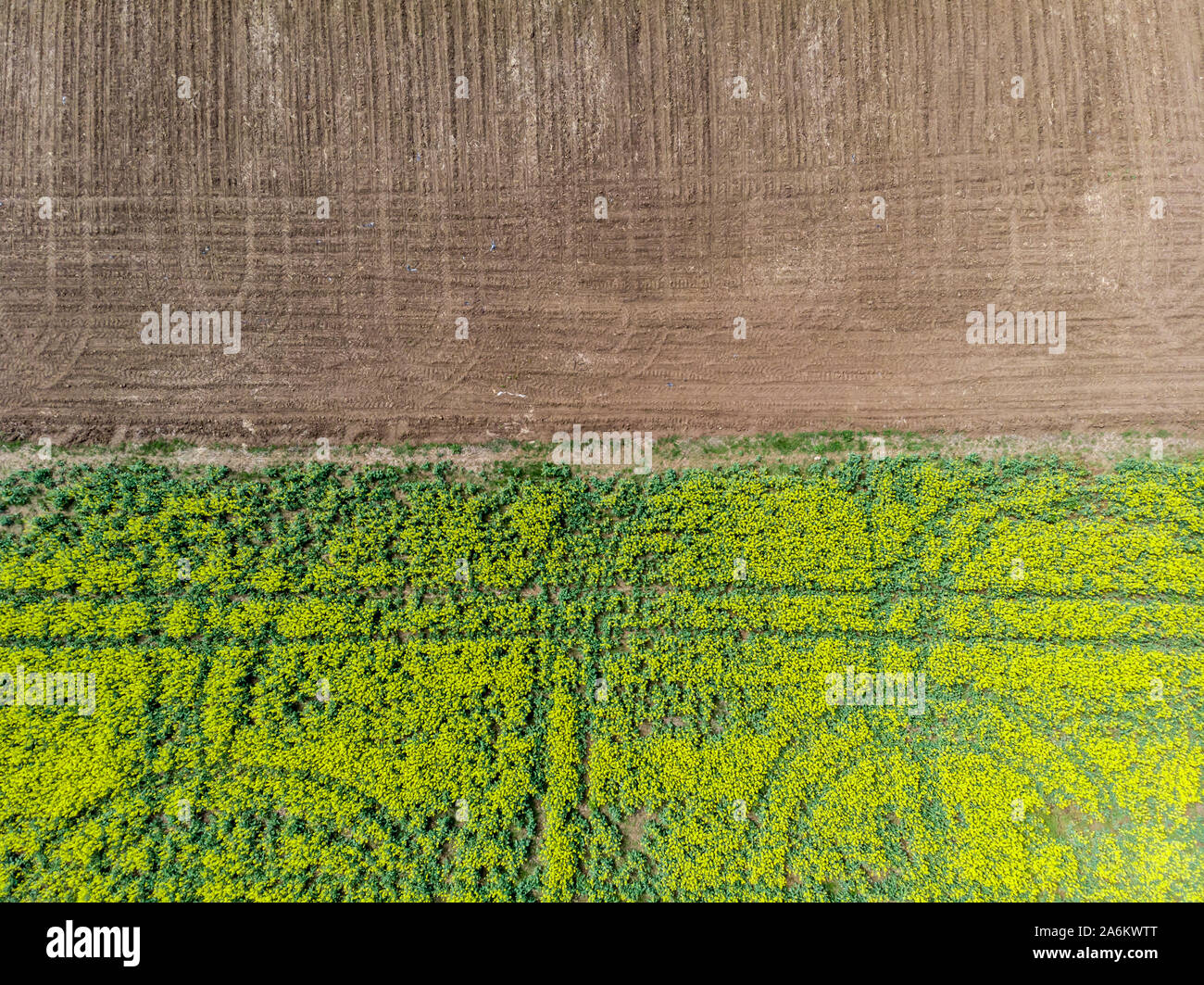 Uncultivated land hi-res stock photography and images - Alamy
