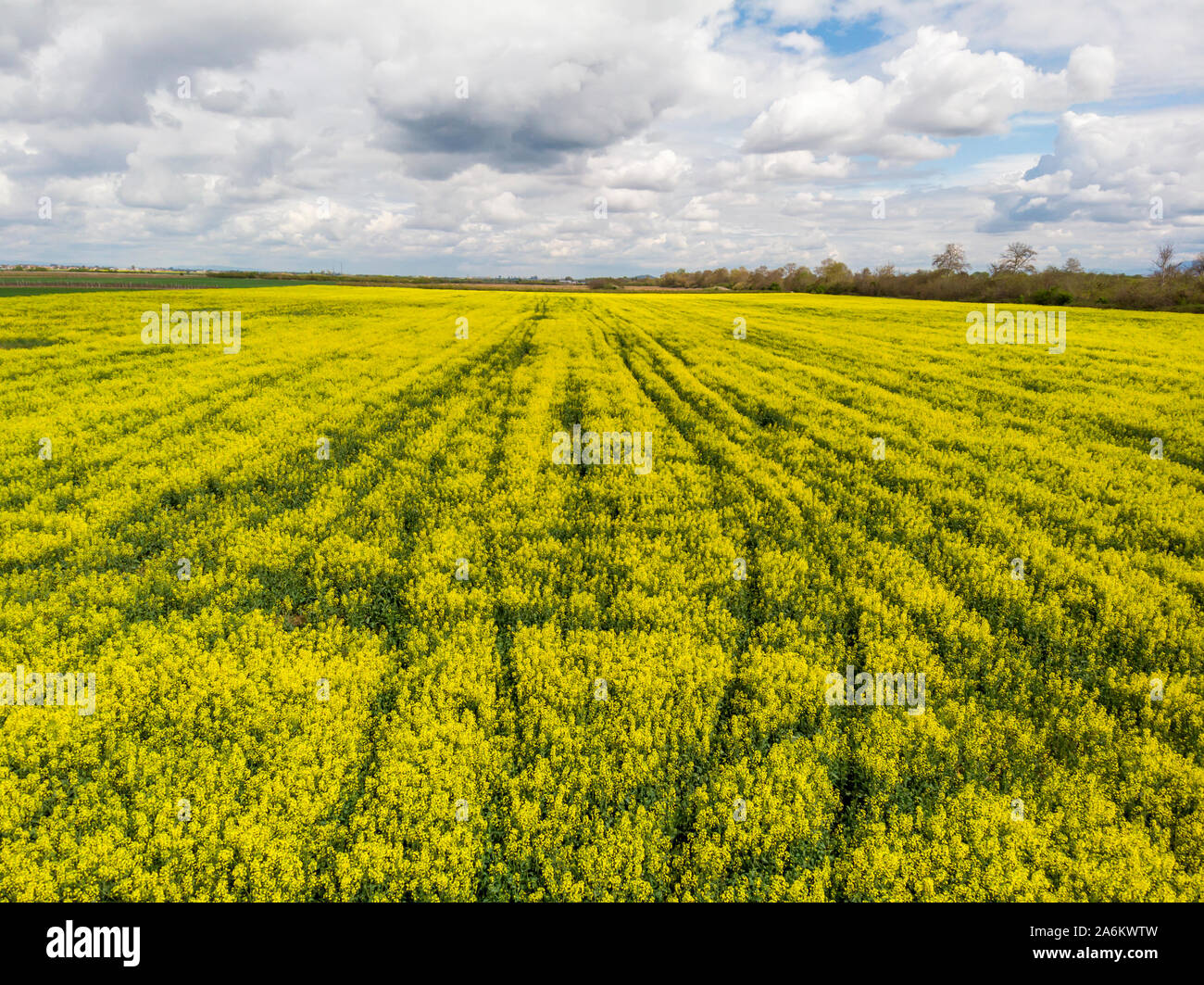 Oil field road signs hi-res stock photography and images - Alamy