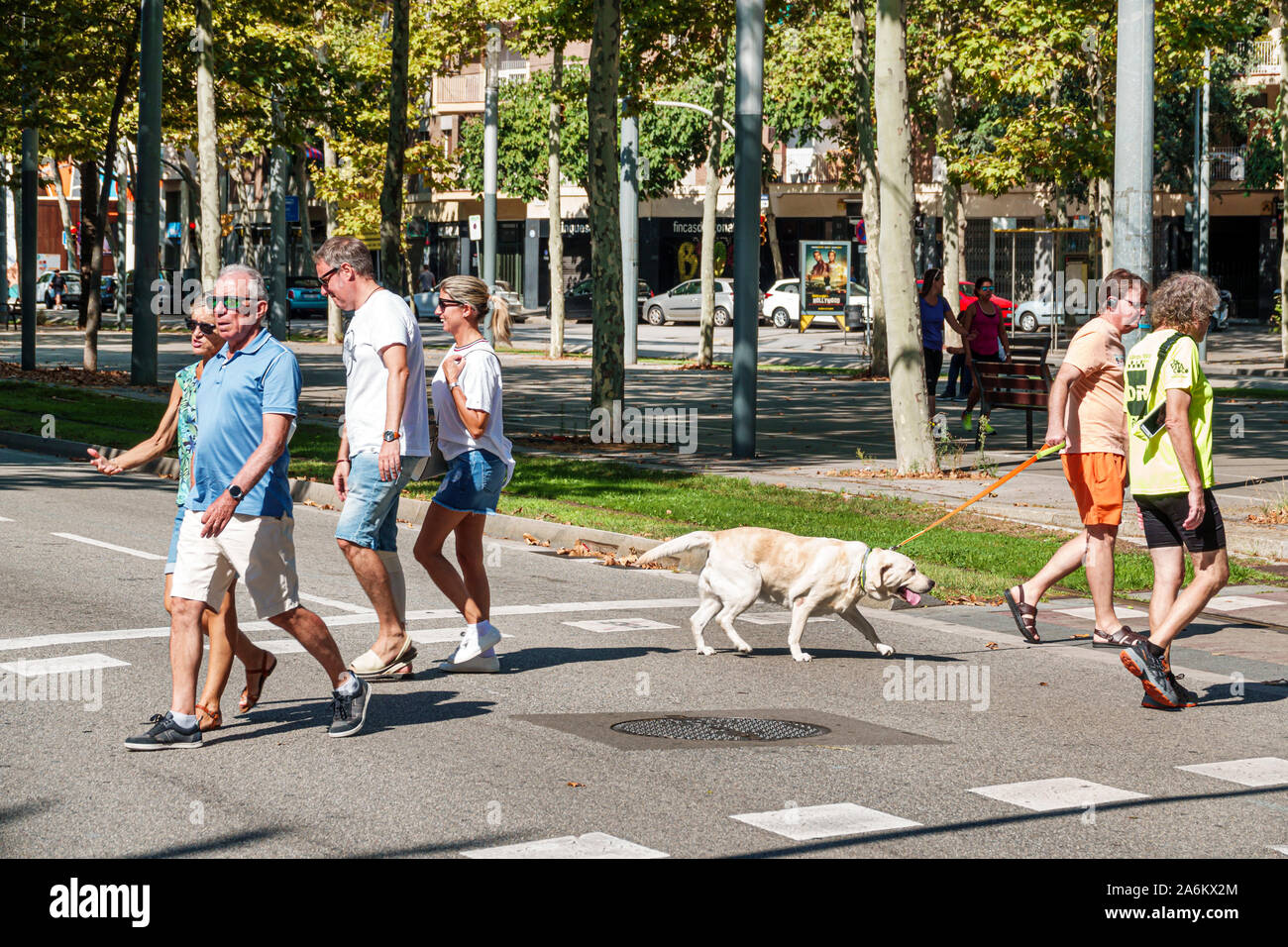 Diagonal crosswalk hi-res stock photography and images - Alamy