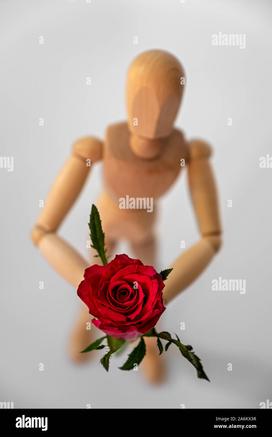 wooden puppet hands over a red rose Stock Photo - Alamy