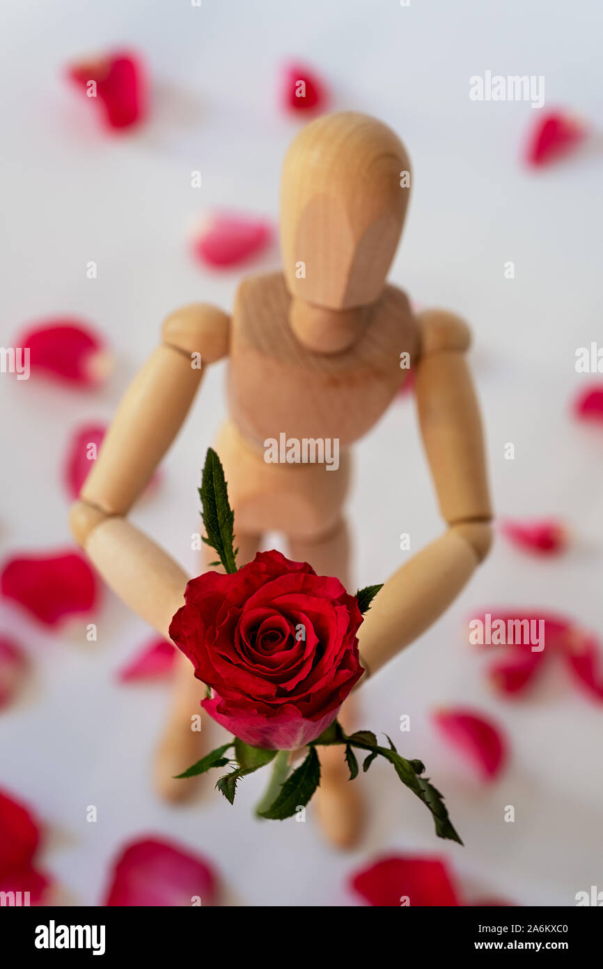 wooden puppet hands over a red rose Stock Photo - Alamy