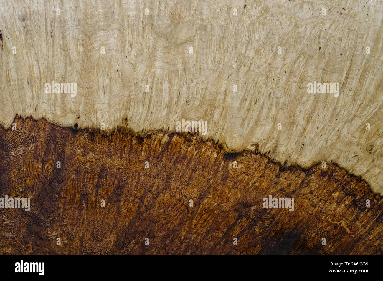 Nature walnut burl wood striped texture background Stock Photo - Alamy