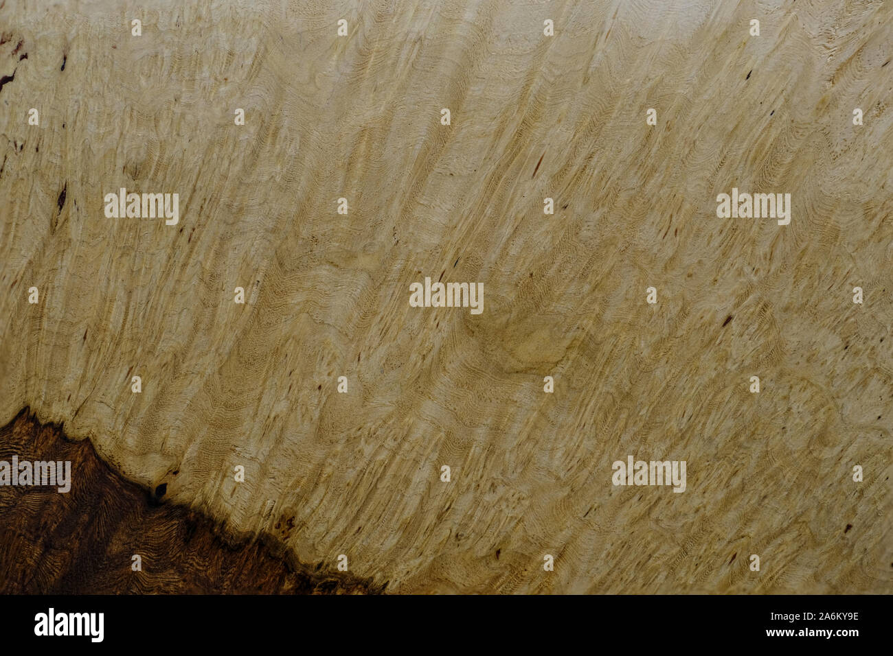 Nature walnut burl wood striped texture background Stock Photo - Alamy