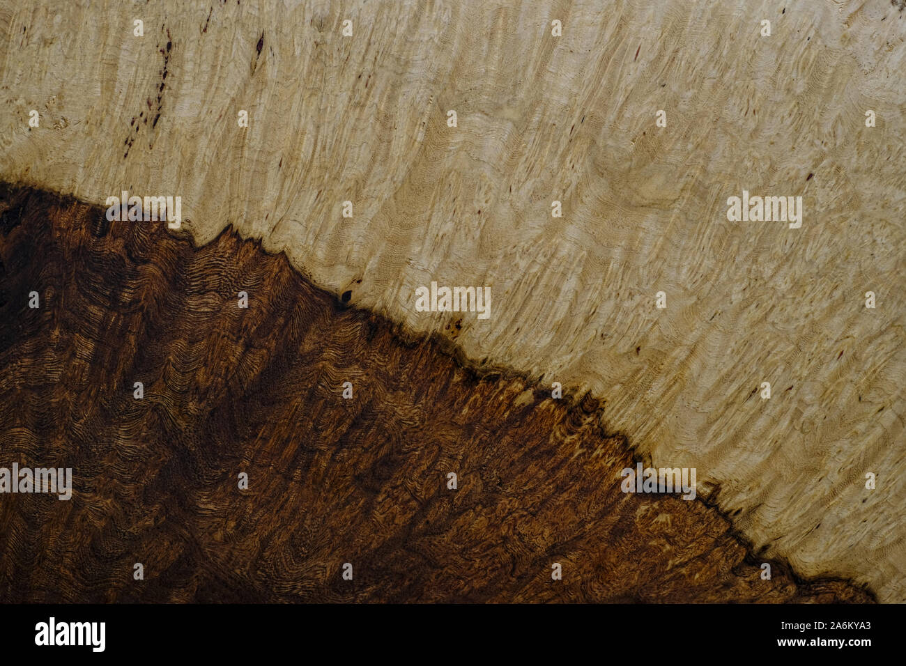 Nature walnut burl wood striped texture background Stock Photo - Alamy