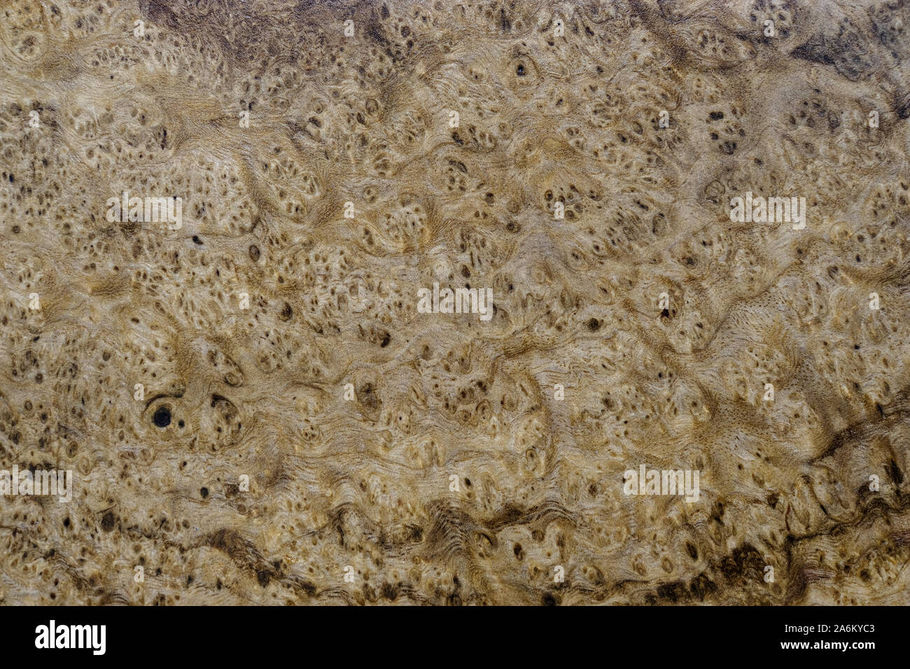 Nature walnut burl wood striped texture background Stock Photo - Alamy